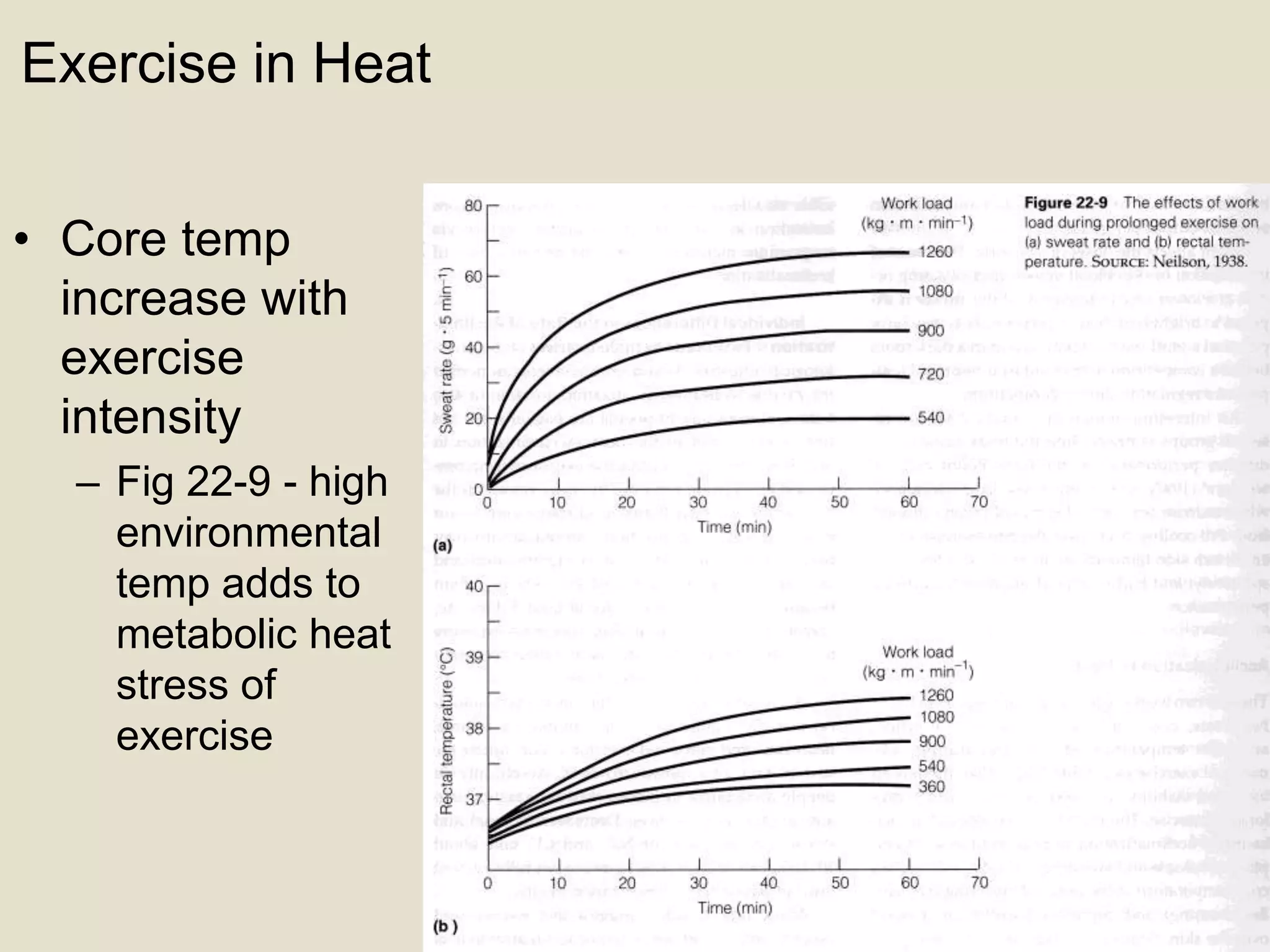 Exercise and Environment Temperature acclimatization | PPTX