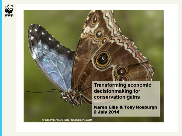3a Karen Ellis (wwf) transforming economic decision-making | PPT