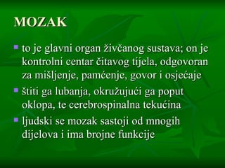 Mozak | PPT