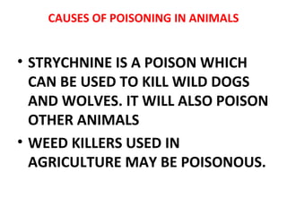 3a. poisoning english | PPT