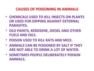 3a. poisoning english | PPT