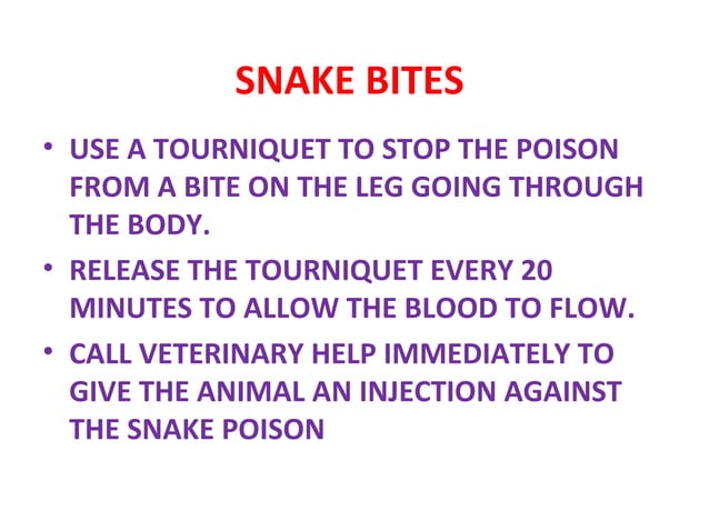 3a. poisoning english | PPT