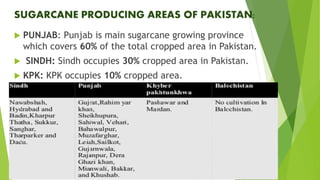 SUGAR PPT | PPTX