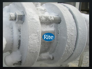 Ritepro Check Valves | PPT