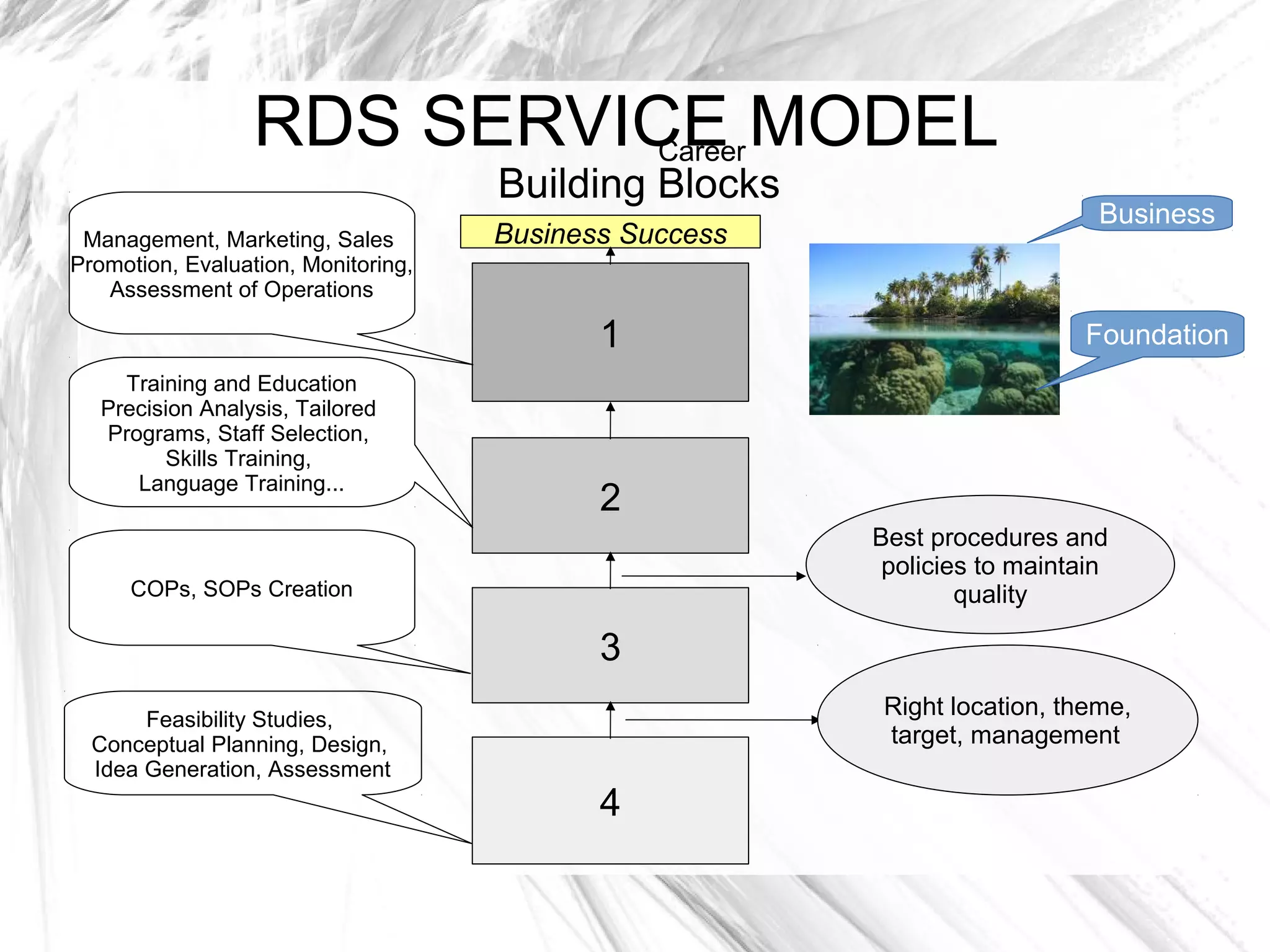 RDS Consulting Service Structure | PPT
