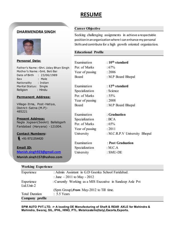 RESUME(MIS EXECUTIVE) | PDF