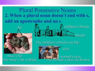 Nouns | PPT