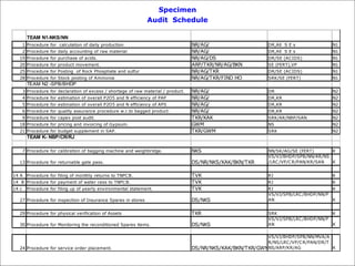 3a 6 Self Audit Process | PPT | Business | Business and Finance