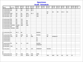 3a 6 Self Audit Process | PPT | Business | Business and Finance
