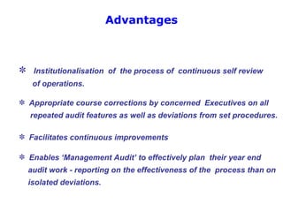 3a 6 Self Audit Process | PPT | Business | Business and Finance