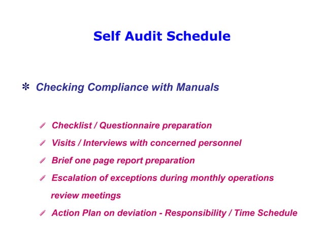 3a 6 Self Audit Process | PPT | Business | Business and Finance