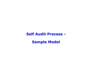 3a 6 Self Audit Process | PPT | Business | Business and Finance