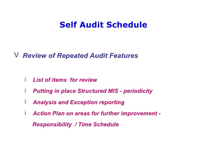 3a 6 Self Audit Process