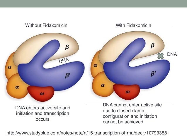 Schaefer, Joseph, R. Fidaxomicin Presentation