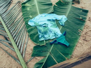 DAZE DAYZ PT_2016en | PPT