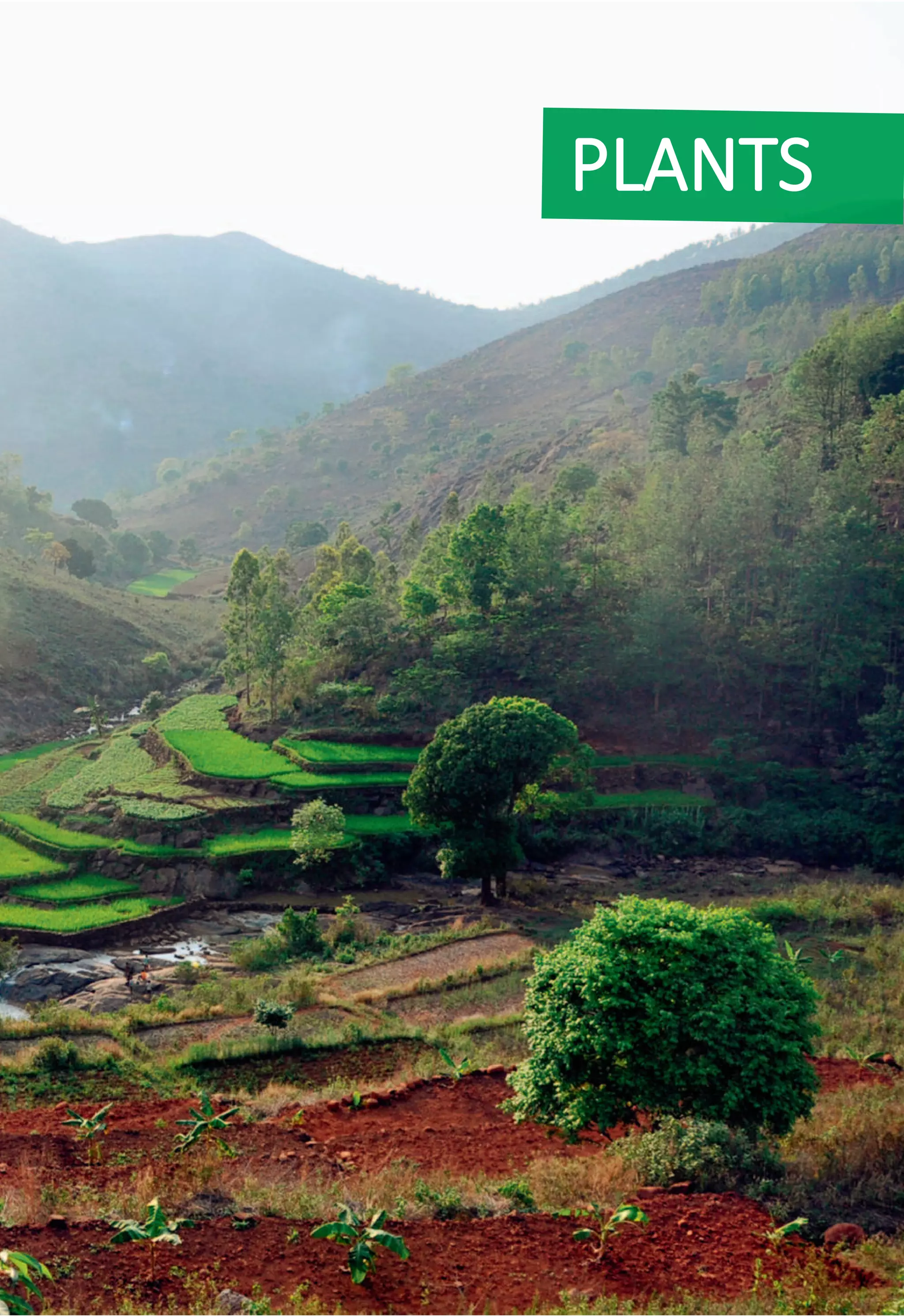 A.P.Biodiversity Field Guide | PDF