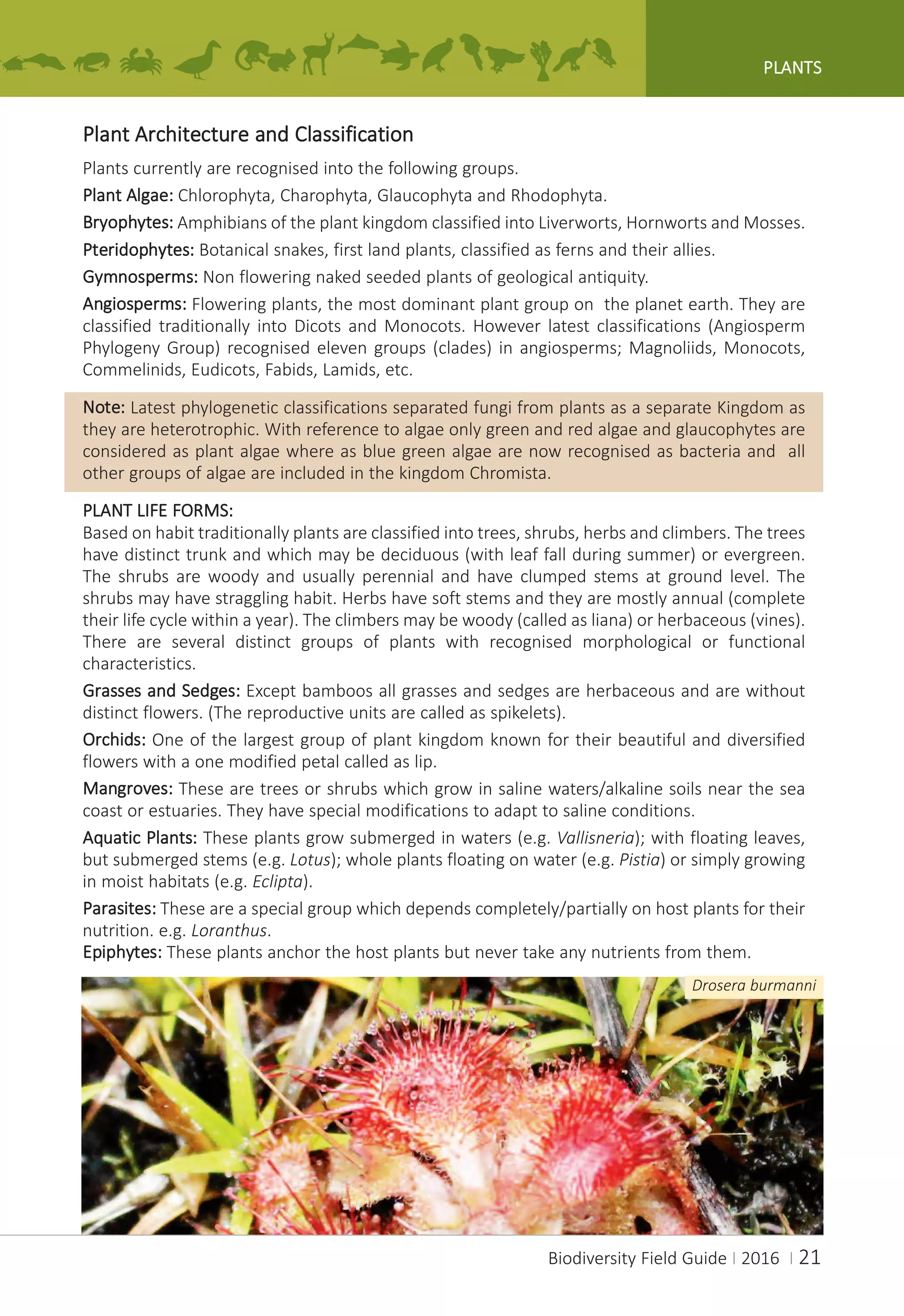 A.P.Biodiversity Field Guide | PDF