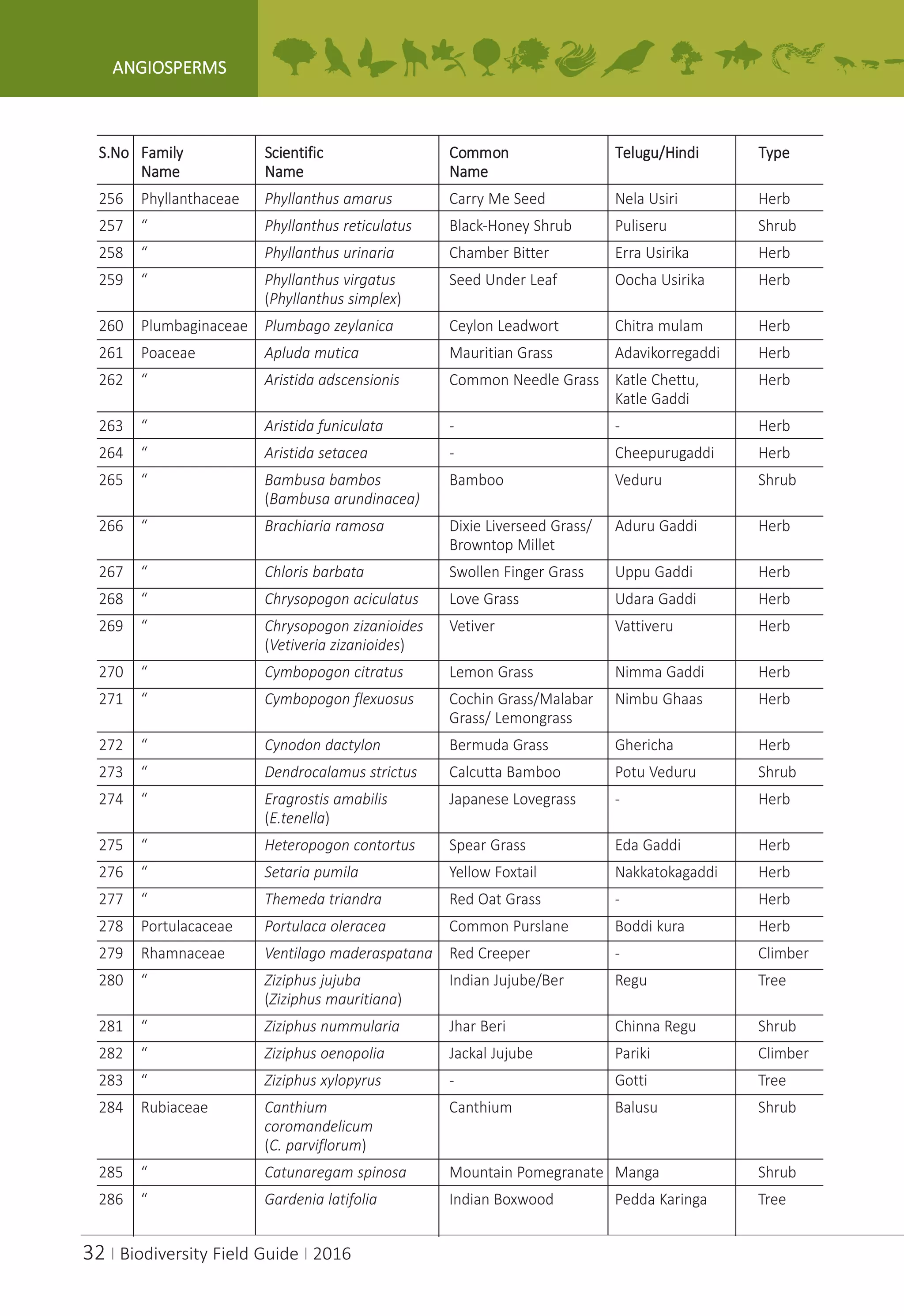 A.P.Biodiversity Field Guide | PDF