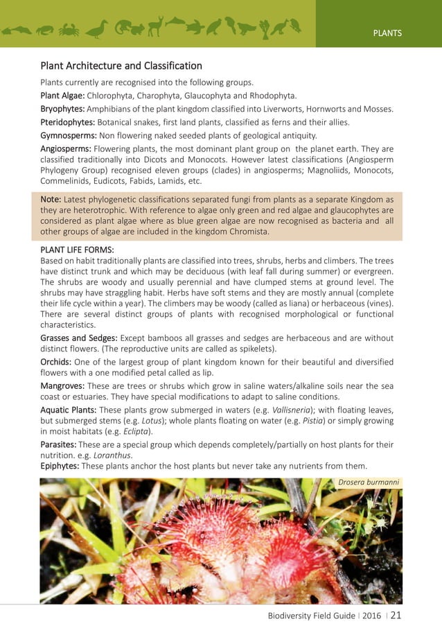 A.P.Biodiversity Field Guide | PDF