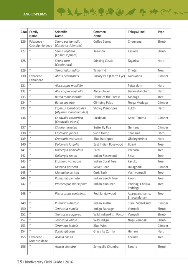 A.P.Biodiversity Field Guide | PDF