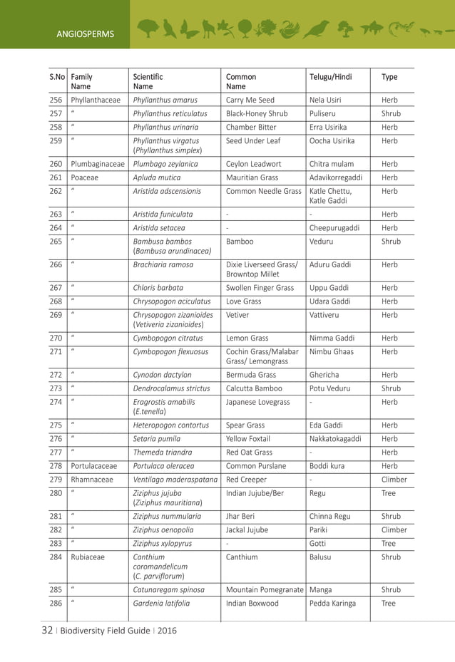 A.P.Biodiversity Field Guide | PDF