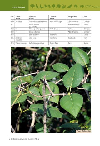A.P.Biodiversity Field Guide | PDF