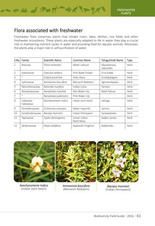 A.P.Biodiversity Field Guide | PDF