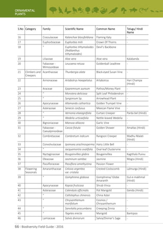 A.P.Biodiversity Field Guide | PDF