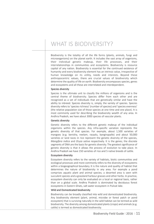A.P.Biodiversity Field Guide | PDF