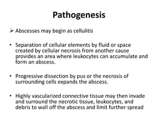 3) ABSCESS.pptx