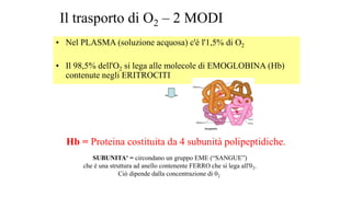 3 ac collaborative learning-apparato respiratorio | PPT