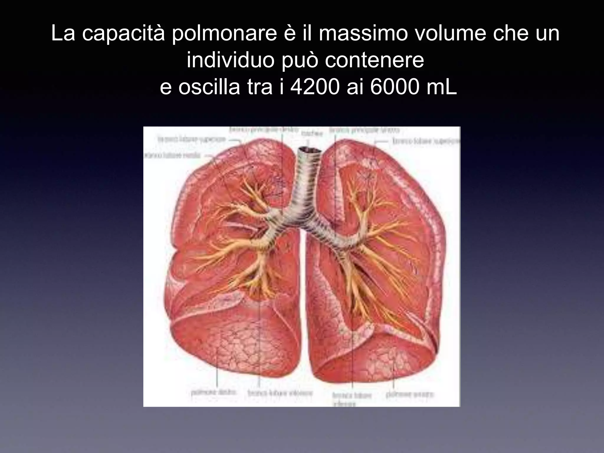 3 ac collaborative learning-meccanica-respiratoria | PPTX