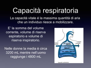 3 ac collaborative learning-meccanica-respiratoria | PPTX