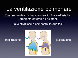 3 ac collaborative learning-meccanica-respiratoria | PPTX