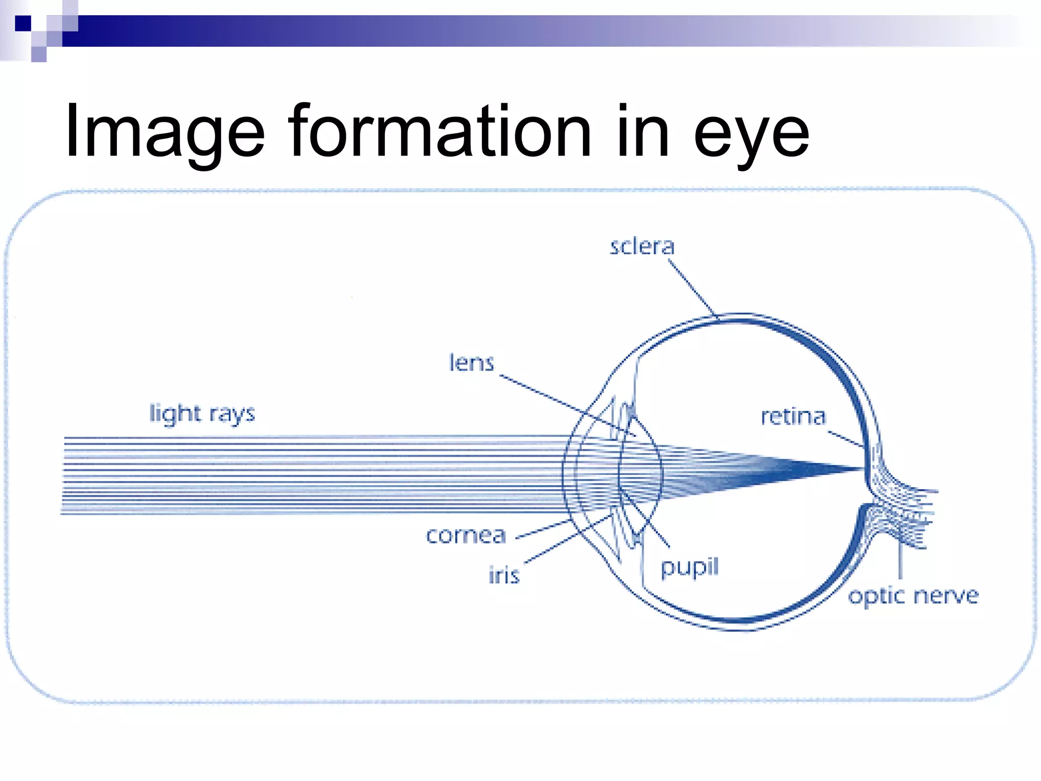 Chapter 14 The Human Eye Lesson 3 - The 2 Mechanisms of the Eye 1 ...