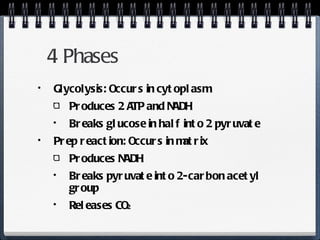 3a; cellular respiration | PPT