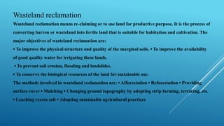 consumerism.pptx consumerism effect, con | PPT