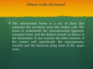 3 Acute Bursitis at the shoulderrr_1pptx | PPTX