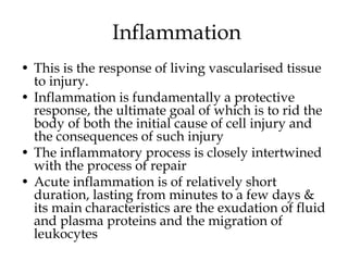 Acute Inflammation.ppt
