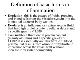 Acute Inflammation.ppt