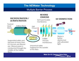 New Water or NEWater | PDF