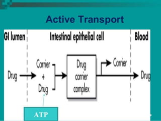 ADME of drugs | PPTX