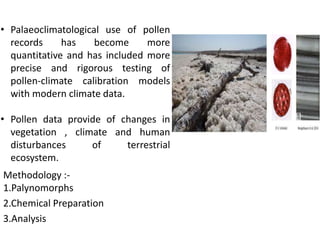 Paleoclimatology | PPTX
