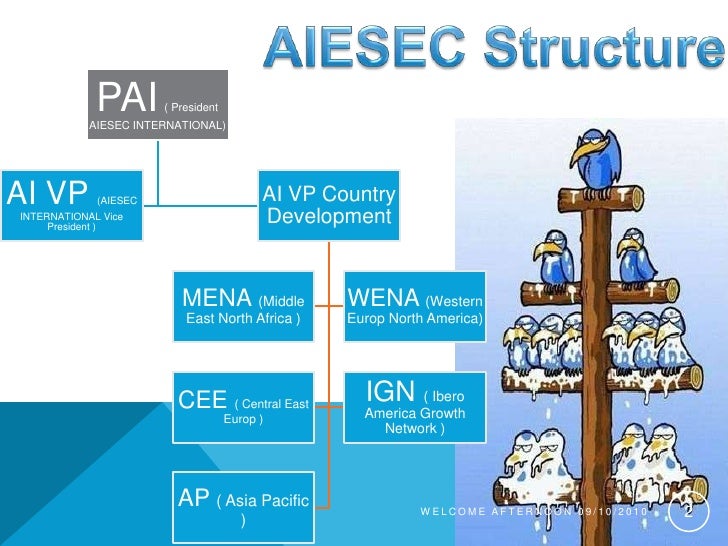 AIESEC Structure