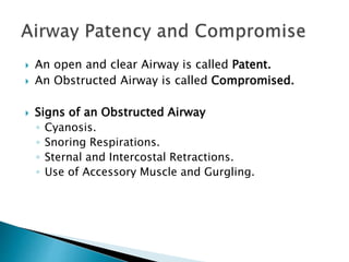Chapter 3 Airway Management. | PPT