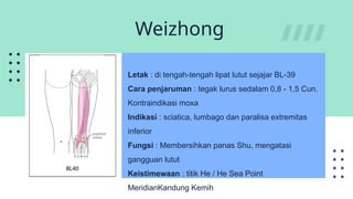 3A Keperawatan_Kel 13 meridian kandung kemih titik 34-67 (1).pptx