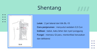 3A Keperawatan_Kel 13 meridian kandung kemih titik 34-67 (1).pptx