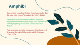 PPT TENTANG ANATOMI HEWAN-HEWAN AMPHIBI.pptx