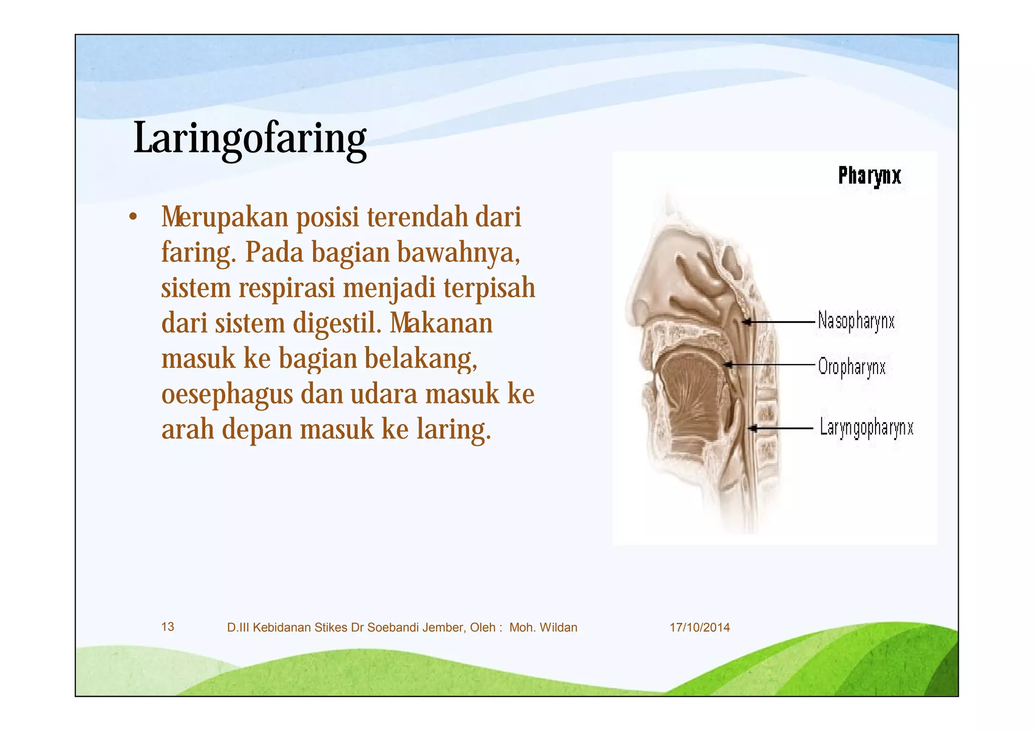 (3) Anatomi & fisiologi sistem pernafasan | PDF