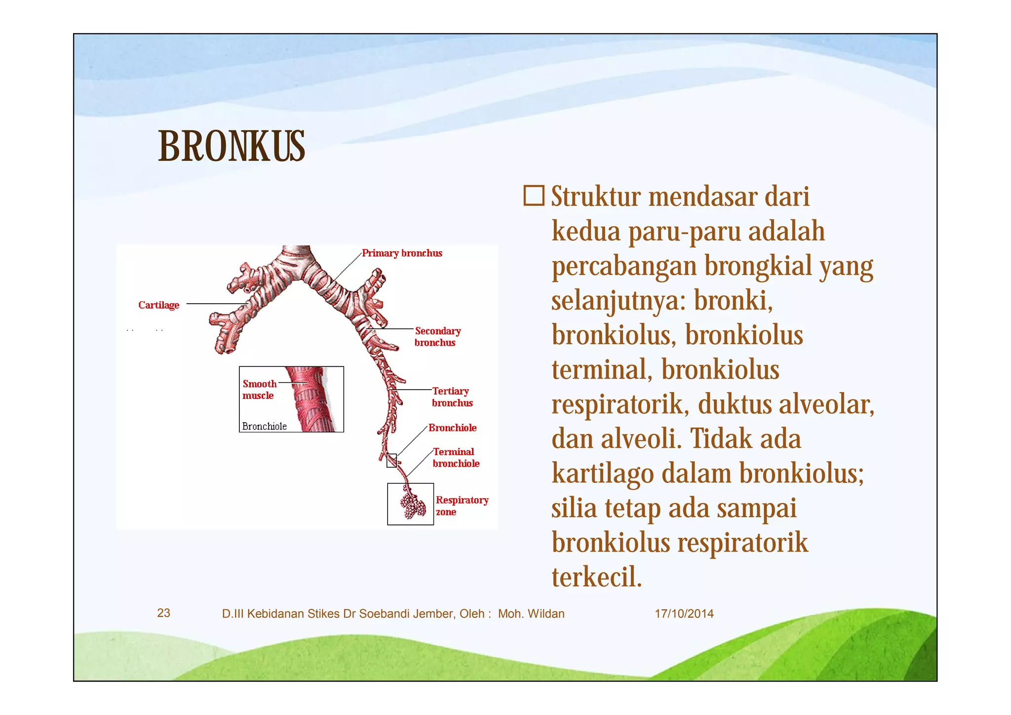 (3) Anatomi & fisiologi sistem pernafasan | PDF